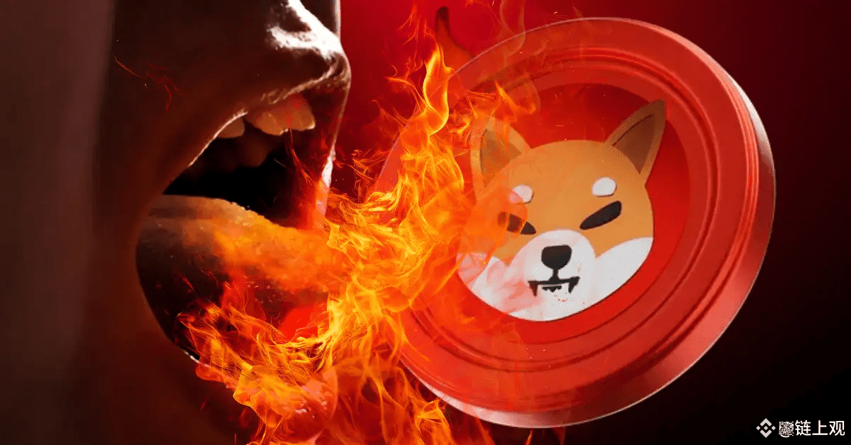 A Shocking Coin Burn Frenzy! 😱 Shiba Inu Coin's Daily Burn | 链上观 on ...