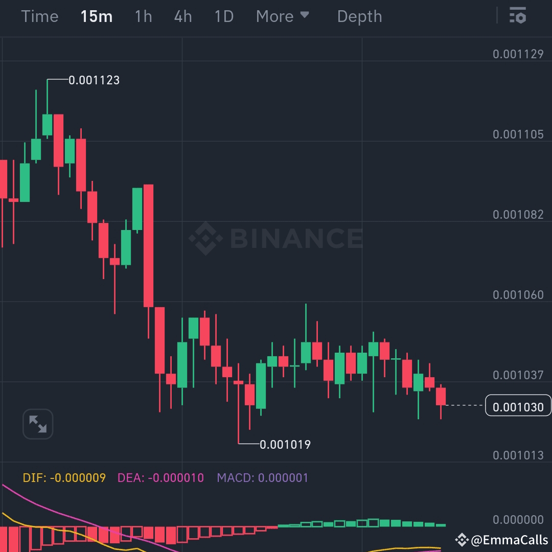 $1000CHEEMS /USDT Trading Signal – Key Levels in Play $10 | EmmaCalls on Binance Square