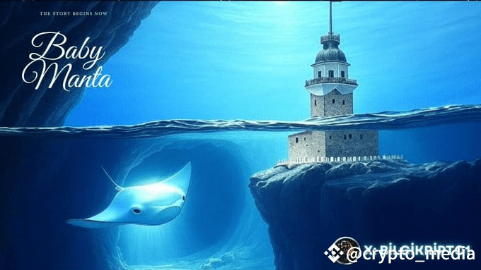 Share Your #BabyManta Story Got a story about Baby Manta? W | crypto ...