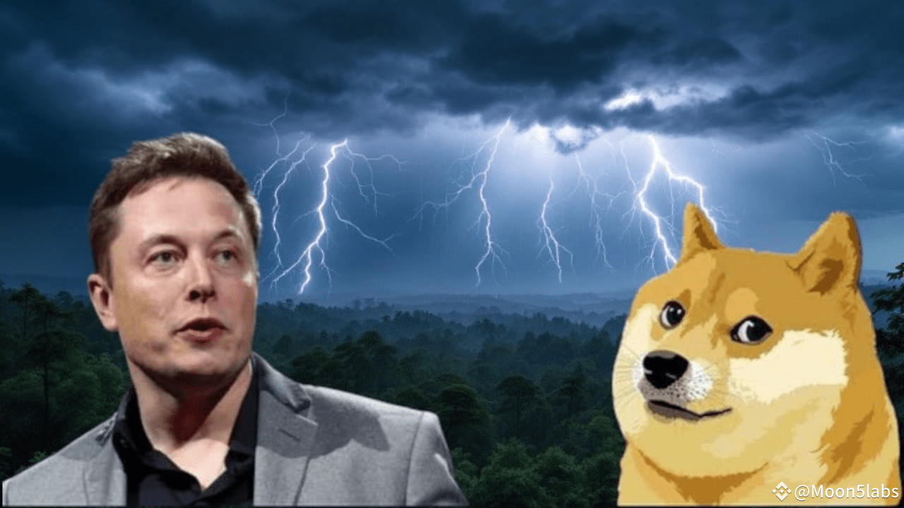 Did Elon Musk Kill Dogecoin’s Popularity? Can DOGE Still Hit $1? | Moon5labs on Binance Square