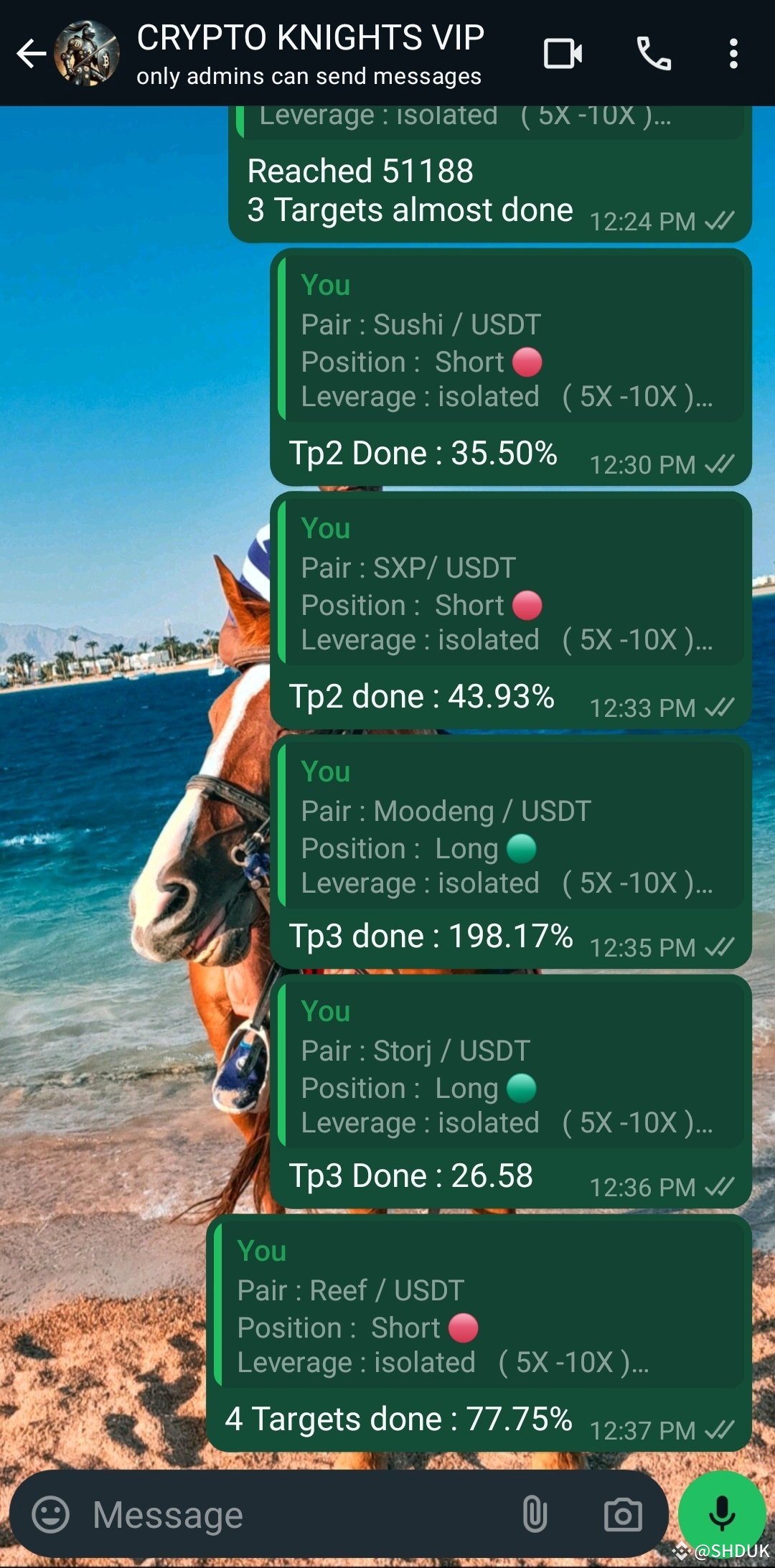 Power Of VIP 🌟 Crypto Knights 🌟 How Is Your Profits Goes | SHDUK on Binance Square