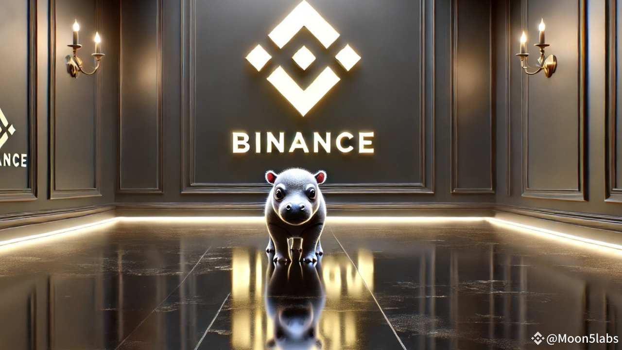 Breaking News: Binance Lists Sui-Based Meme Coin HIPPO, Price Soars by ...
