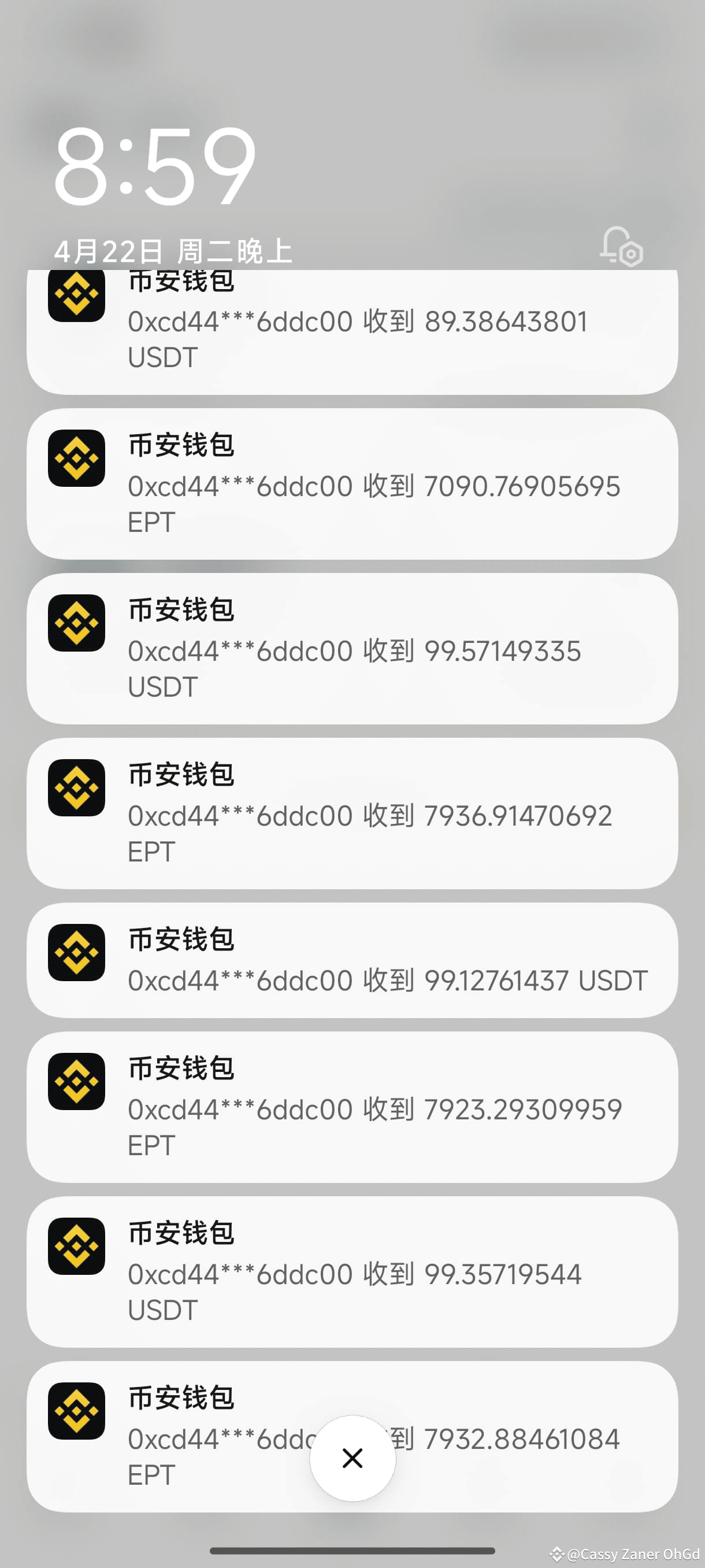 The rules are getting harder, and studios and newcomers can' | Cassy ...