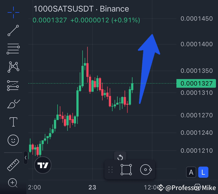 $1000SATS /USDT: Bull Run Confirmed! 🔥💯 The market is fol | Professor Mike on Binance Square