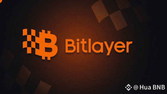 Understanding Bitlayer (BTR) Scan Token Reputation: A Guide to Smarter ...