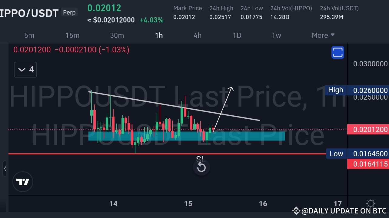 HIPPO COIN ANALYSIS 🔥👇 EXPECTING PUMP 🔥👇 | DAILY UPDATE ON BTC on Binance Square
