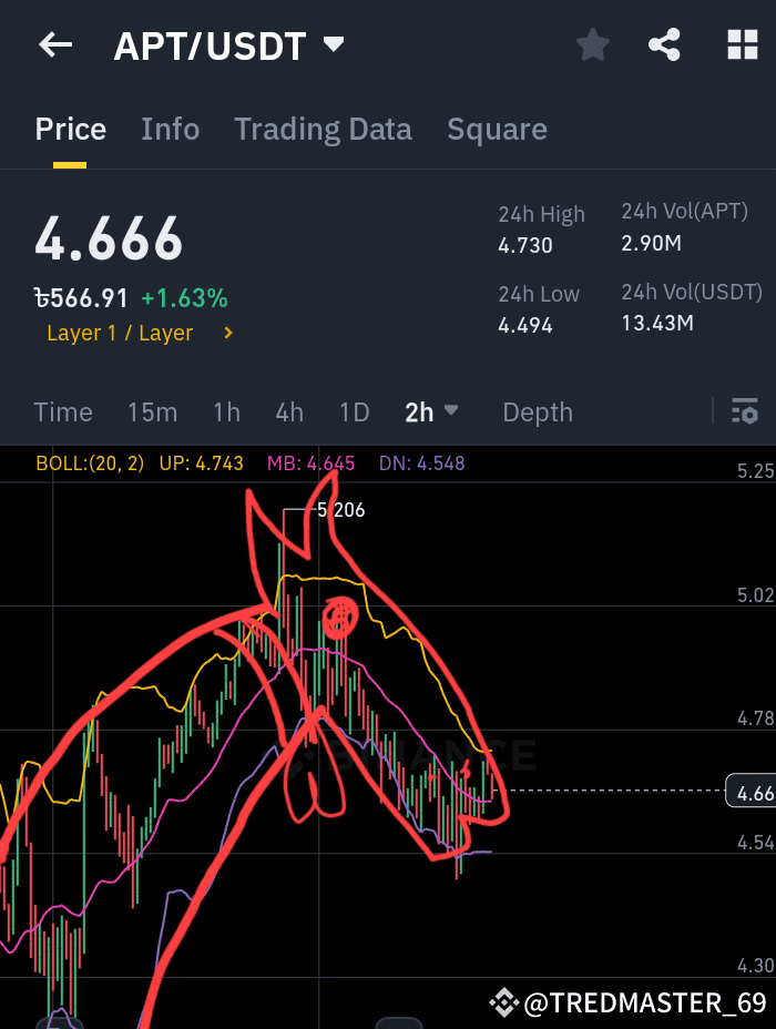 $APT There’s a Horse in the Chart Look closely… that wild s ...