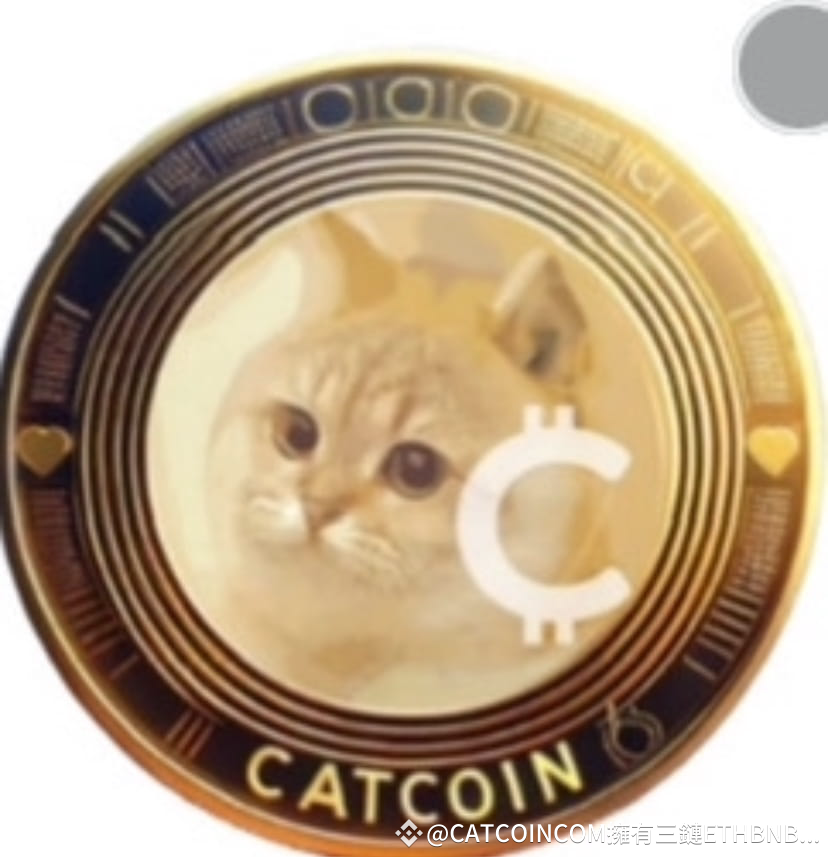 $MEW Institutional Coin Real 🐱 Coin. It’s a catcoin websit | 靜修 on ...