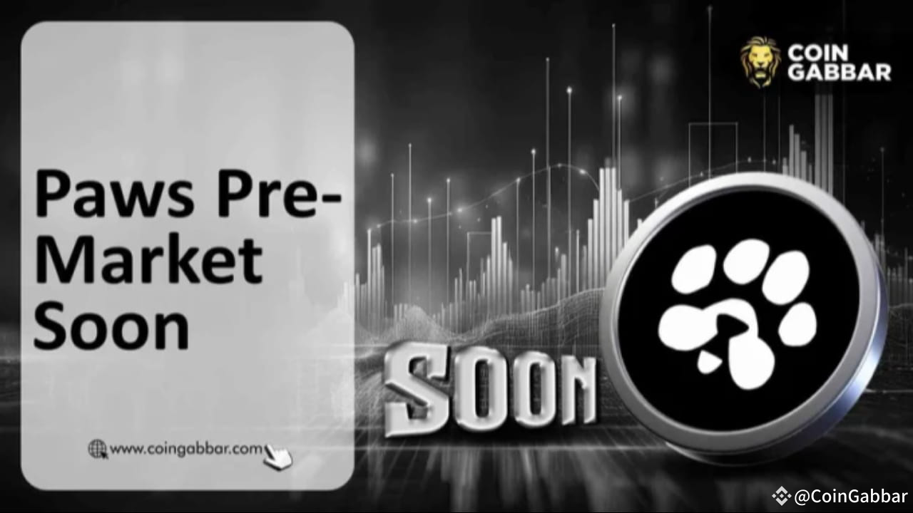 Paws Pre Market is Coming Soon: What About $PAWS Listing Date ...