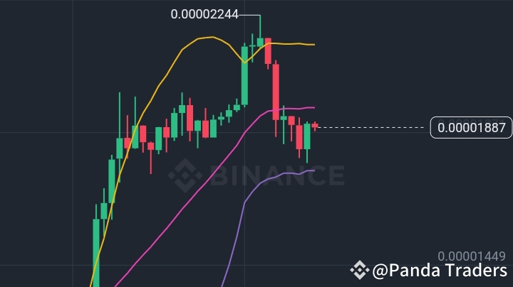 🚨🚨🚨PEPE/USDT Trading Signal🚨🚨 | Panda Traders on Binance Square