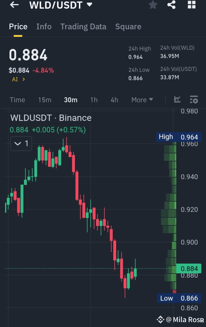 $WLD /USDT Dip Move Alert .!💯📉 Ready to Catch the Recove | Mila Rose on Binance Square