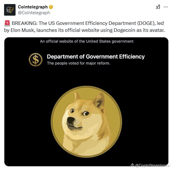 ⚡️ DOGE on the rise: D.O.G.E. official website launched with ...