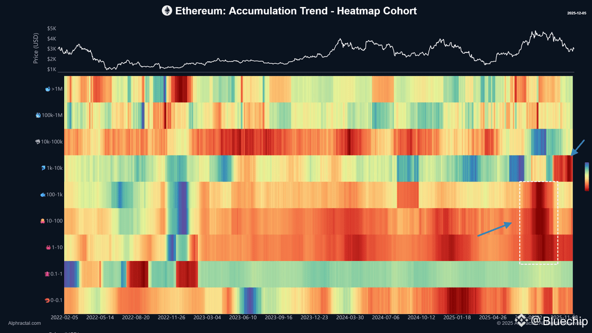 🔥Ethereum Accumulation Heatmap: who sold the top? Our | Bluechip on ...