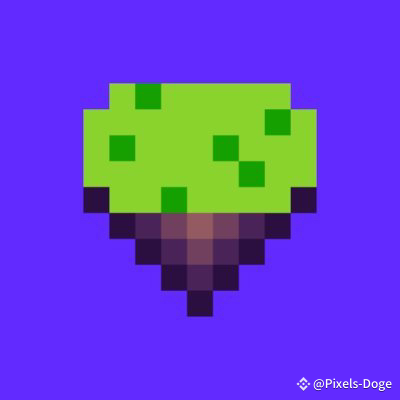 If you don't know which coin to buy now and have missed out | Pixels ...