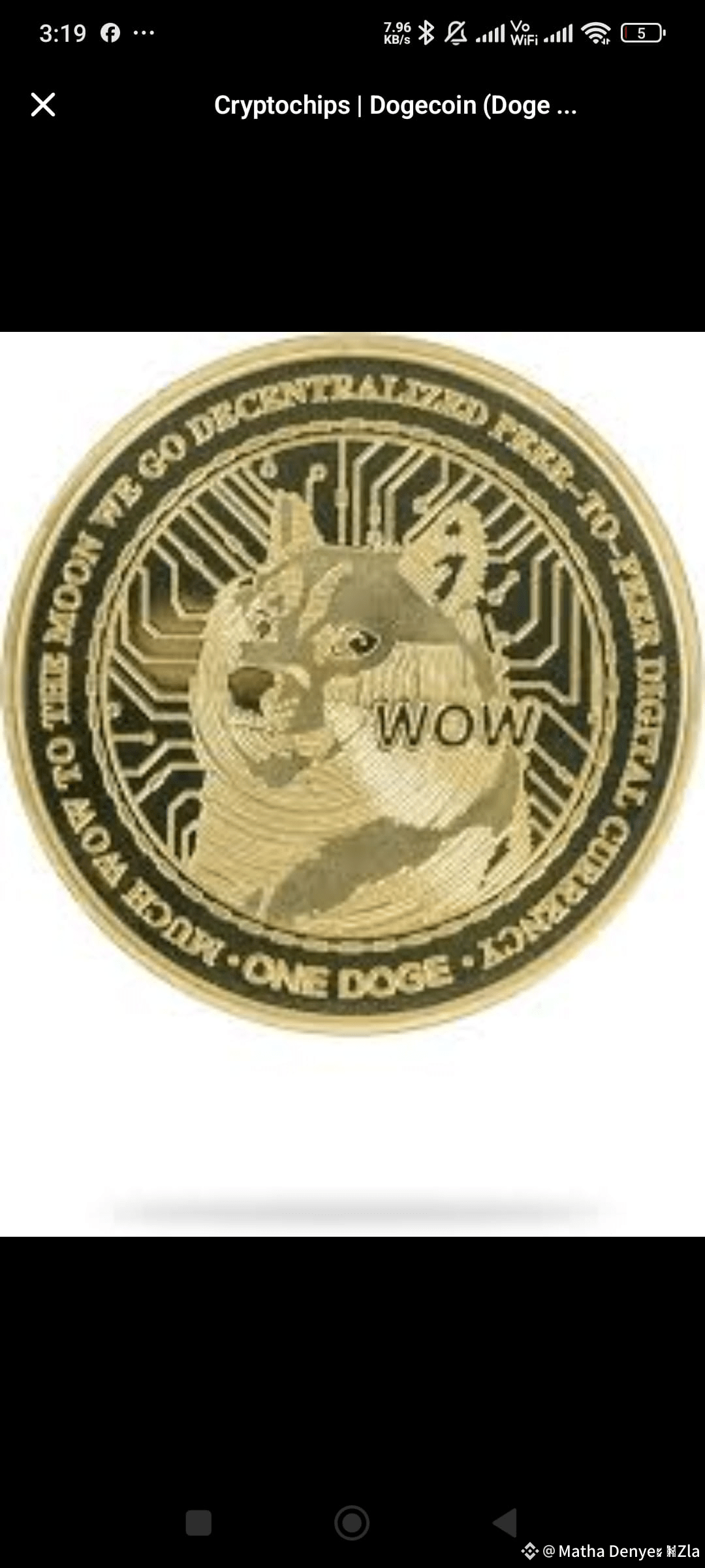 #DOGE原型柴犬KABOSU去世 🚀 To the Moon with Doge coin! 🐶💰 Doge | Matha Denyer ...