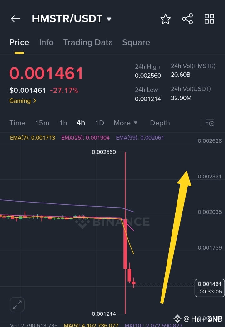 😭please 🙏 $HMSTR go up please . I long the $HMSTR 1000$ in | Hua BNB on ...