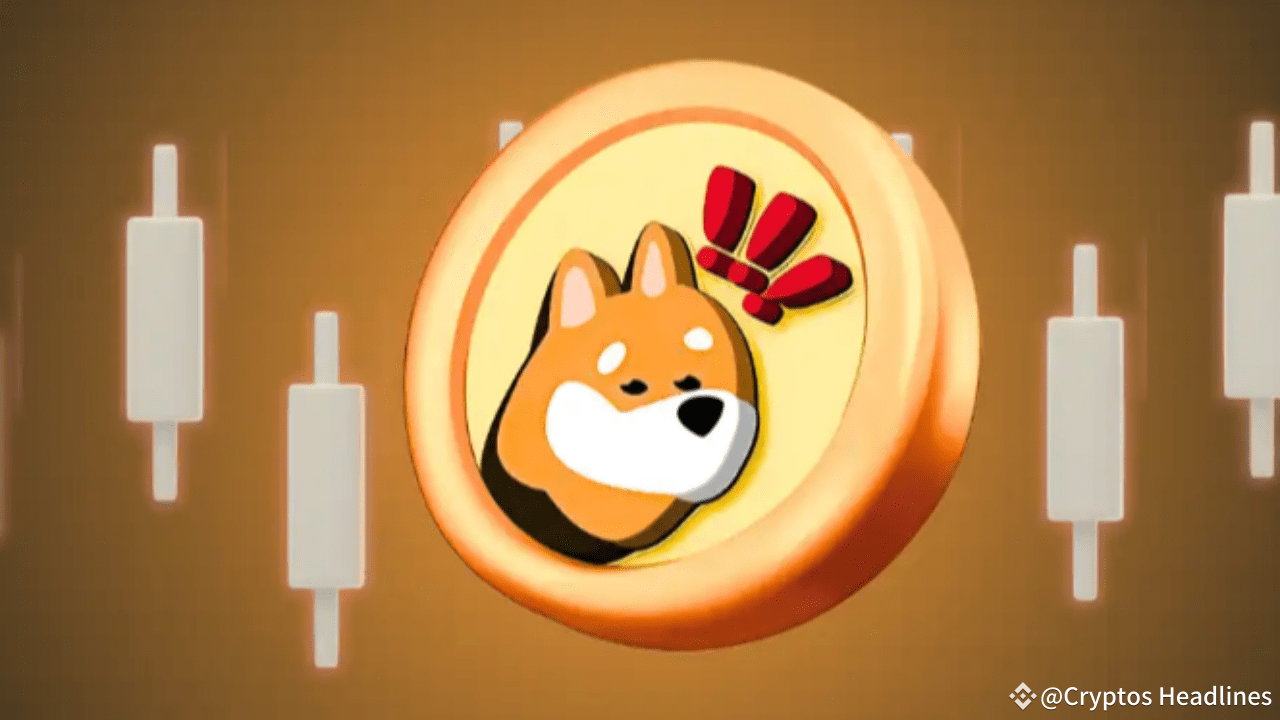 Solana-Based Bonk Outshines DOGE and SHIB! How High Can It Go ...