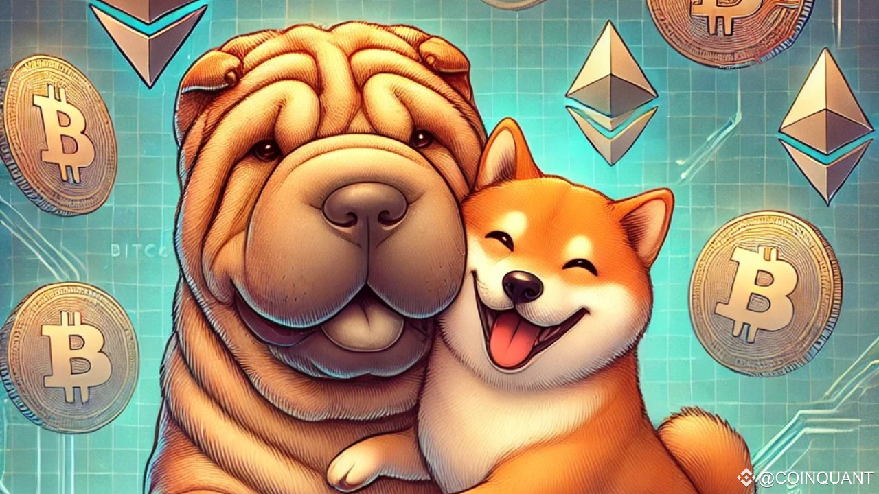 Welcome, future owners of Shiba Inu (SHIB) | COINQUANT on Binance Square