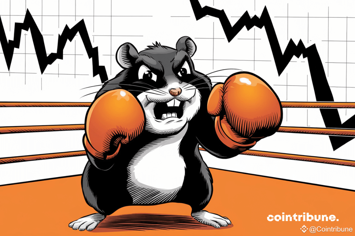 Hamster Kombat: Crypto in free fall, but nothing is over yet ...