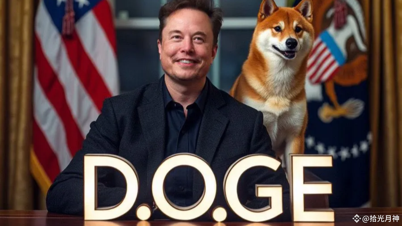 Squirrel pnut, the magic coin of this round, has risen to 50 billion ...