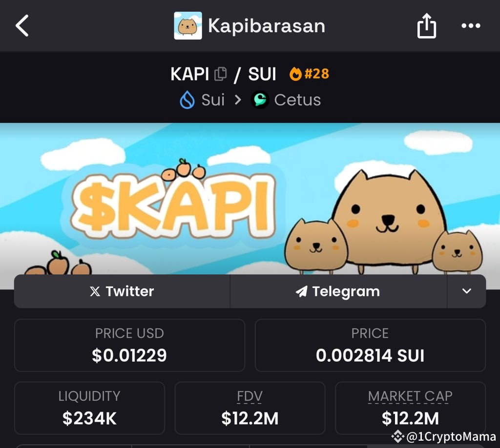 I heard $KAPI is set to be the next HIPPO on Sui and Moodeng ...
