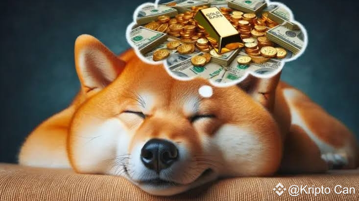 Shiba Inu: The Millionaire Dream by 2028—Here’s How! | Kripto Can on Binance Square