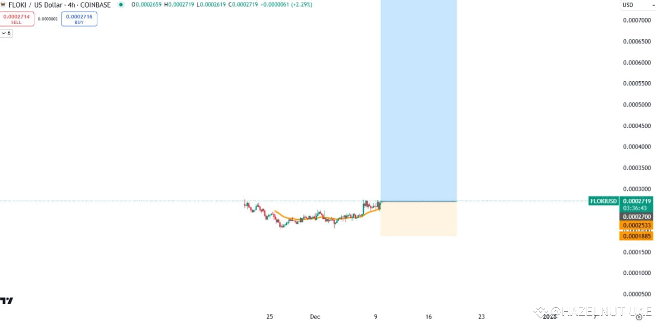 #1000FLOKI Buy High Sell Higher | HAZELNUT UAE on Binance Square