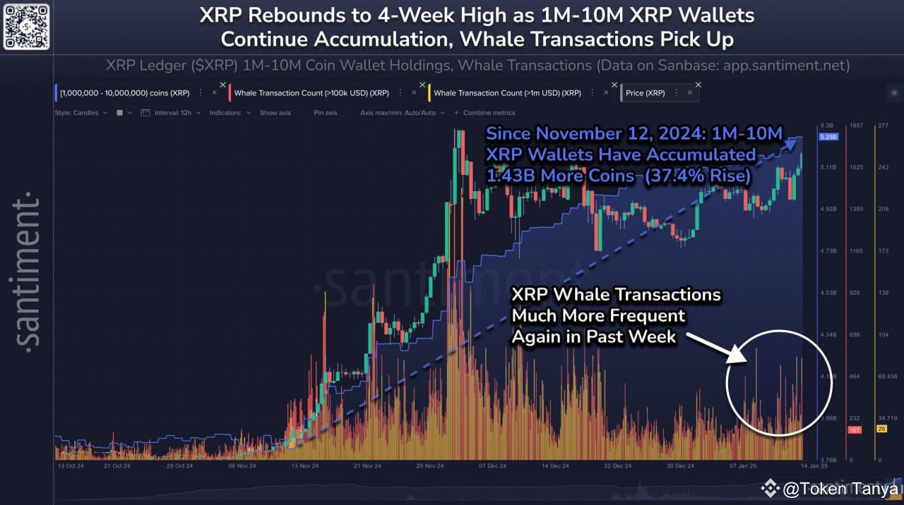 🕯 Whales bought 1,430,000,000 XRP ($3.8 billion) in 2 month | Token ...