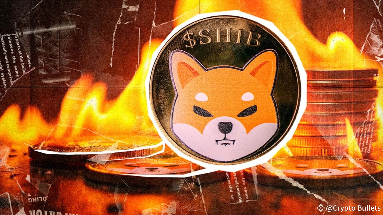 🔥 SHIB Burns Skyrocket 65,529% - Massive Burn Action by SHIB Army ...