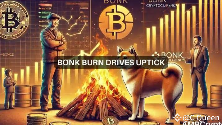 🔥 BONK Token Burn Ignites Trader Excitement – Could a New High Be ...