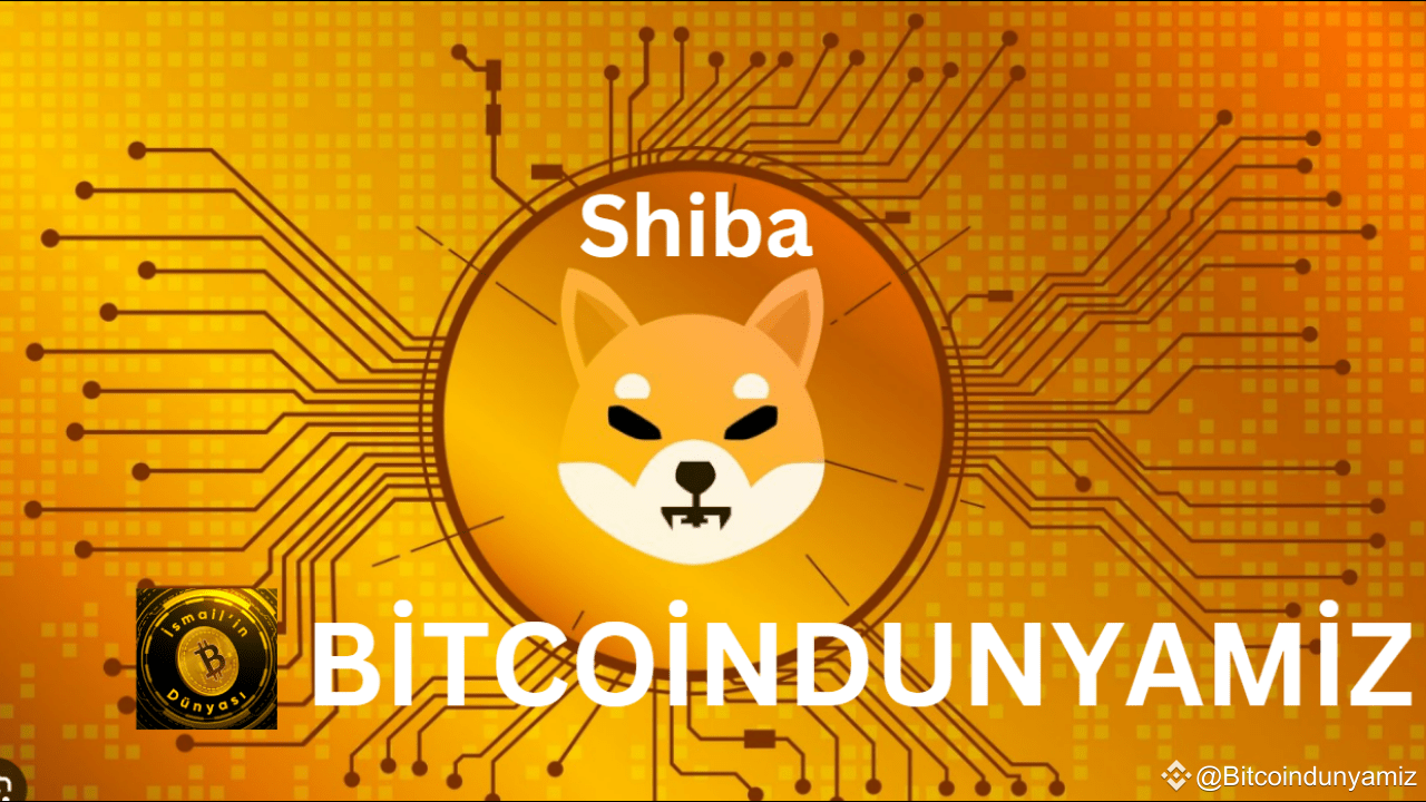 Chủ sở hữu Shiba Inu đặt mục tiêu kiếm được lợi nhuận lớn trong ICO ...