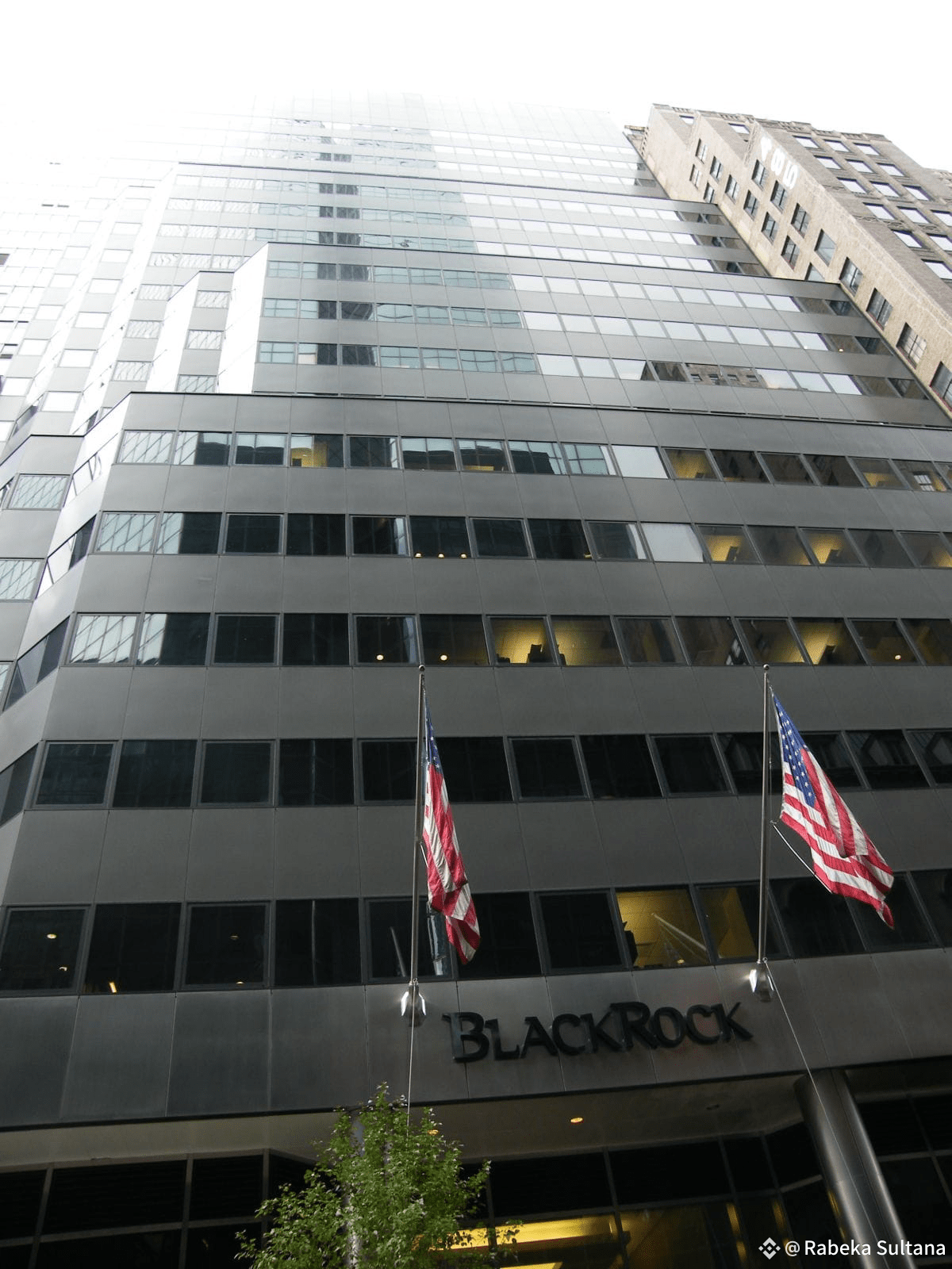 BlackRock Makes Its Biggest Bitcoin Move Ever! 🚀 The | Rabeka Sultana ...