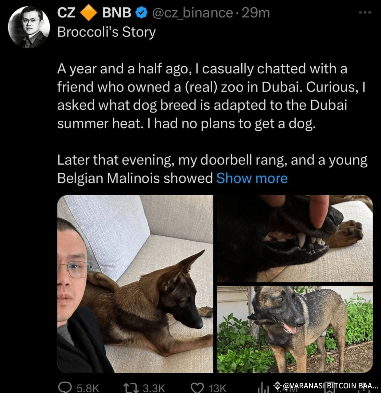 🚨 CZ ka Tweet Reaction! Sirf 50 minutes pehle, usne apne d | VARANASI ...