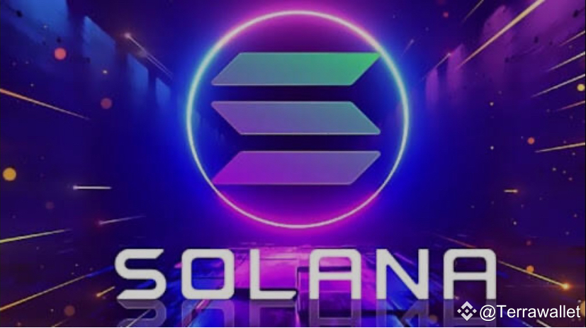 Solana Soars to Top 3: World's Fastest Blockchain Set to Dominate 2025 ...