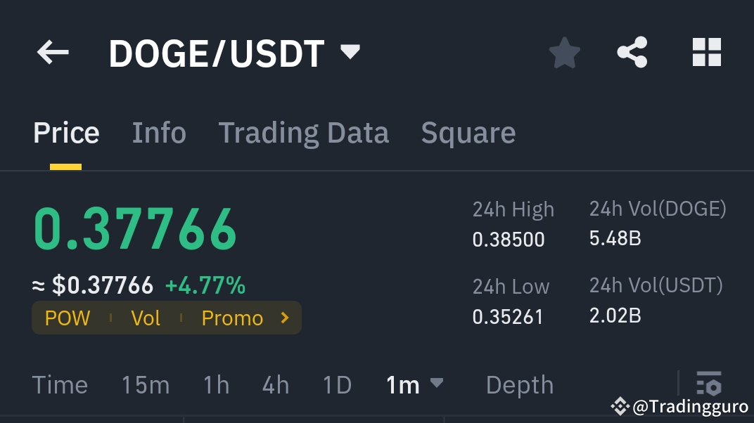 DOGE/USDT Trading Insights: November Snapshot on Binance 📊📊📊 | Tradingguro on Binance Square