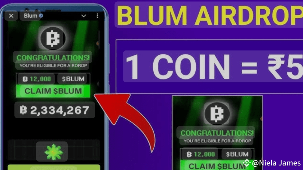 Blum Coin Forecast: Brace Yourself for a Thrilling Adventure – Price ...