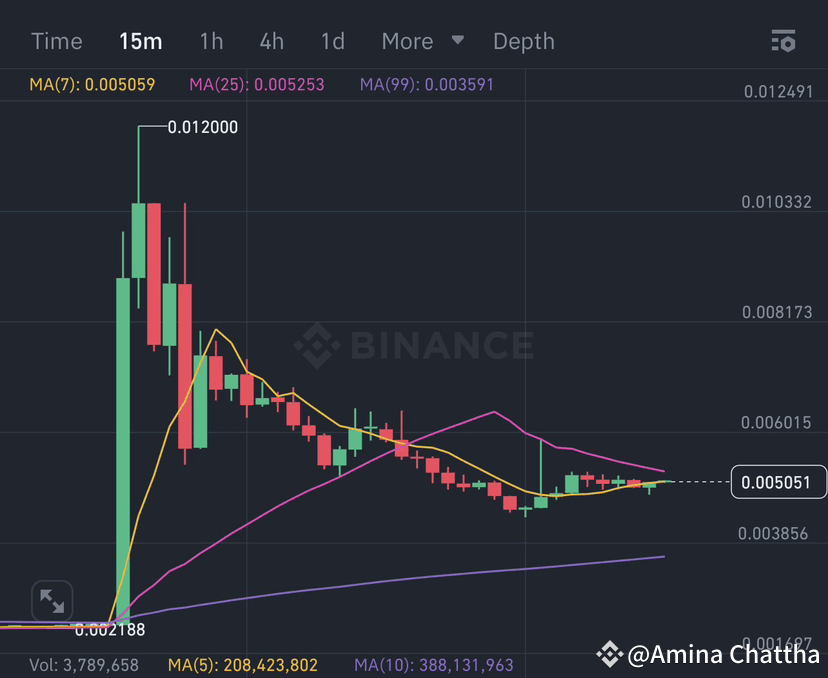 $VTHO is trading at 0.005051, with a staggering 117.15% gain | Amina Chattha on Binance Square