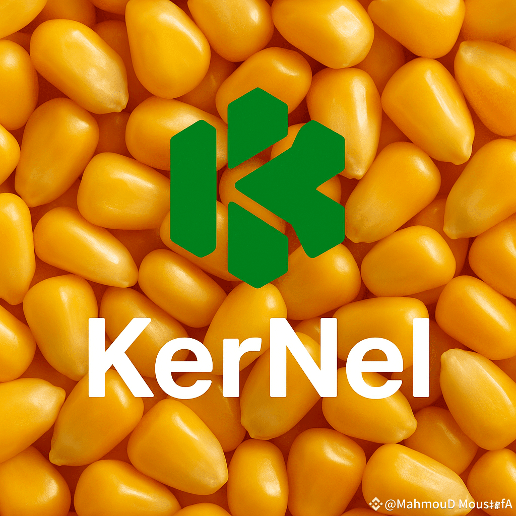 $KERNEL General analysis of this new currency: Should you b | MahmouD ...