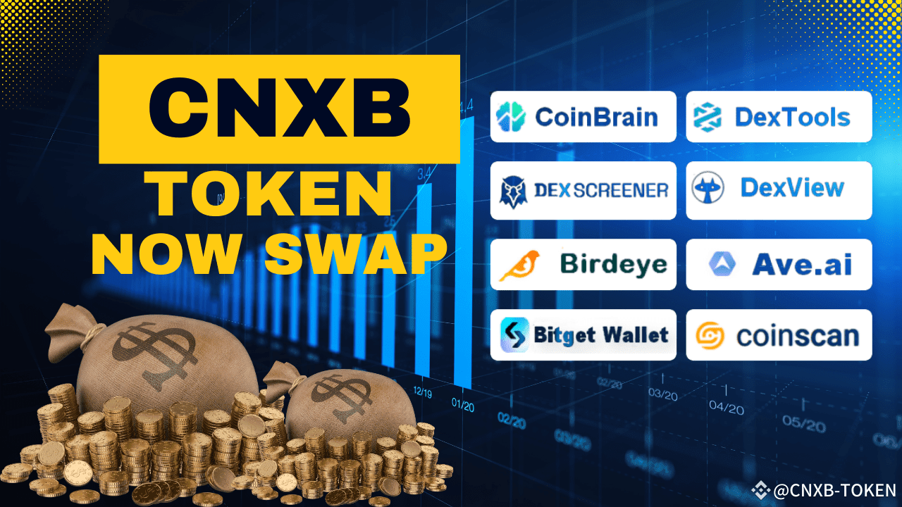 https://www.coinscan.com/bsc/0x11B9a8EdF6f8B86d7e25EE400Bd24 | CNXB ...