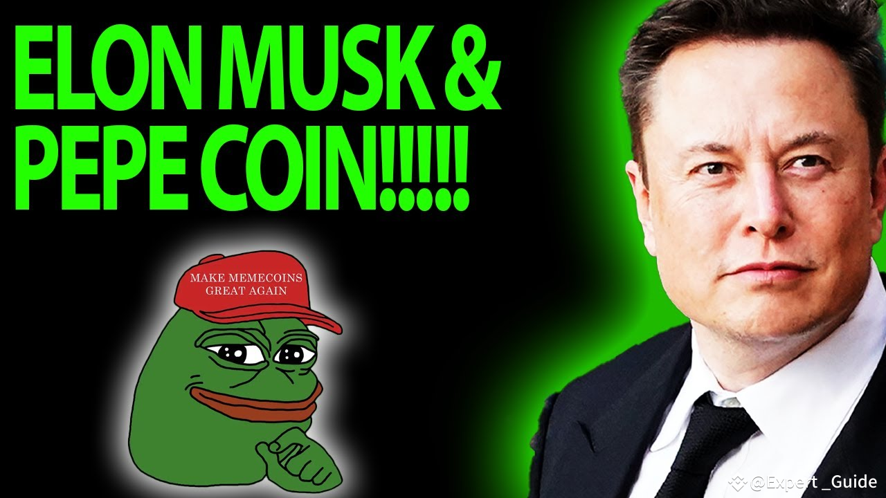 PEPE Price: Is Elon Musk Secretly Shilling Pepe Coin After Dogecoin ...