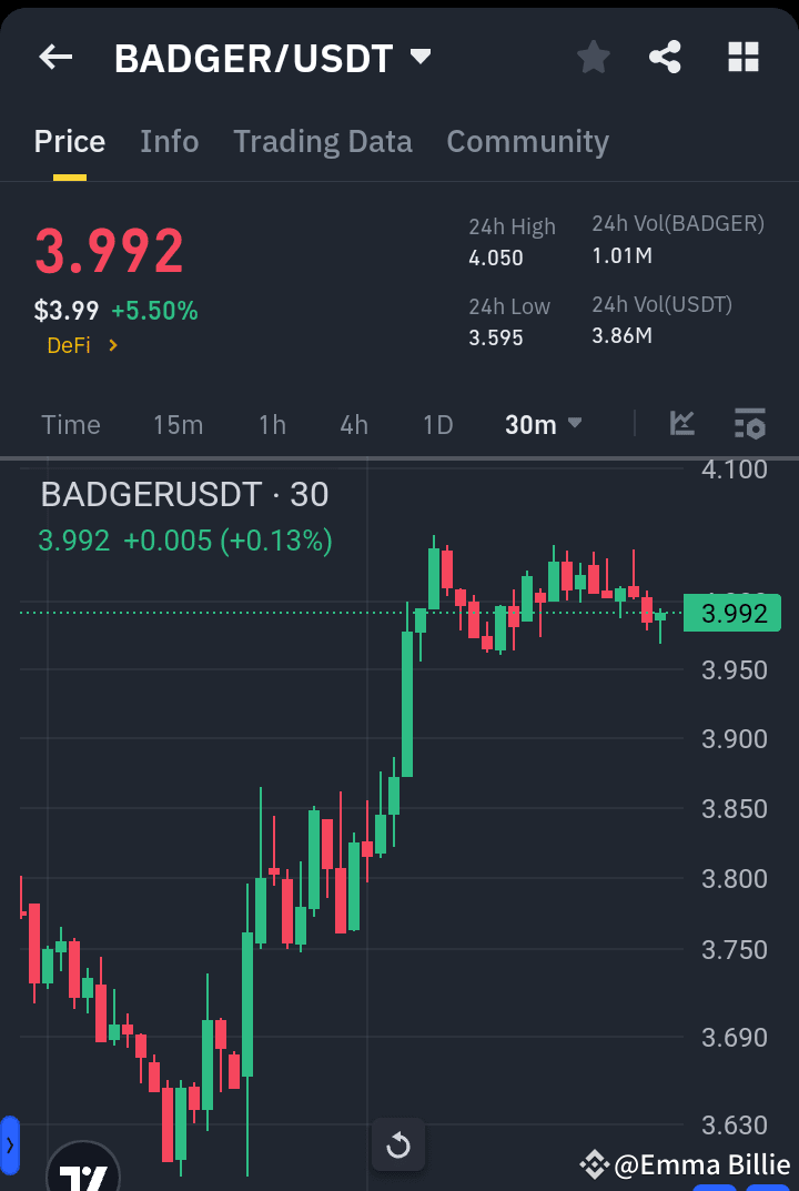 BADGER/USDT: Trading Strategy with Entry Range, Targets, and | Emma Billie on Binance Square