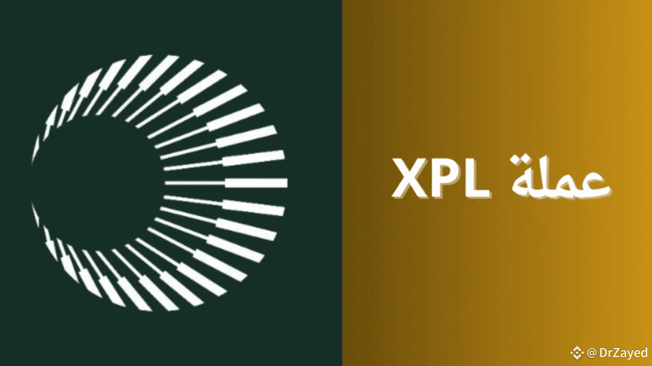 XPL Token: Exploring the Upcoming Project on Binance | DrZayed on ...