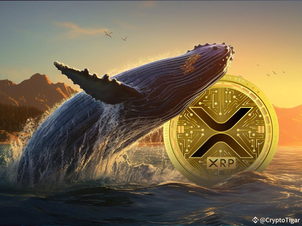 #Xrp🔥🔥 Crypto whales are moving from Solana and XRP to thi | CryptoTigar on Binance Square