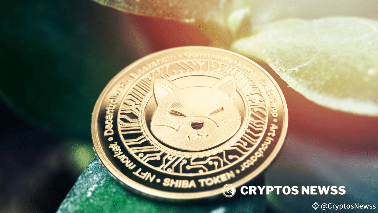 Shiba Inu Drops 12% in a Month—Whale Accumulation Signals Possible Recovery | CryptosNewss on ...