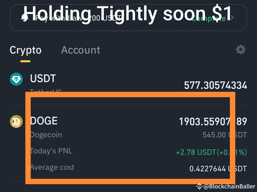 ARE YOU READY GUY'S Who else is holding #Doge🚀🚀🚀 with m ...