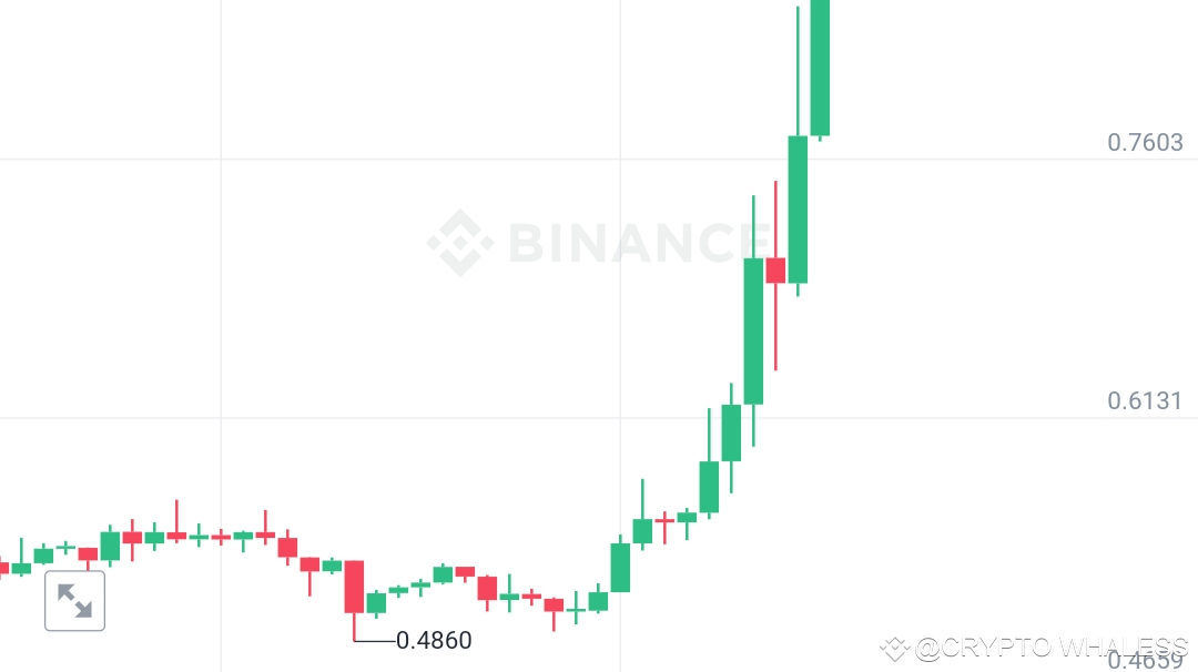 🐶 $DOGE /USDT in Key Support Zone - Will Dogecoin Rebound? 🚀 | CRYPTO WHALESS on Binance Square