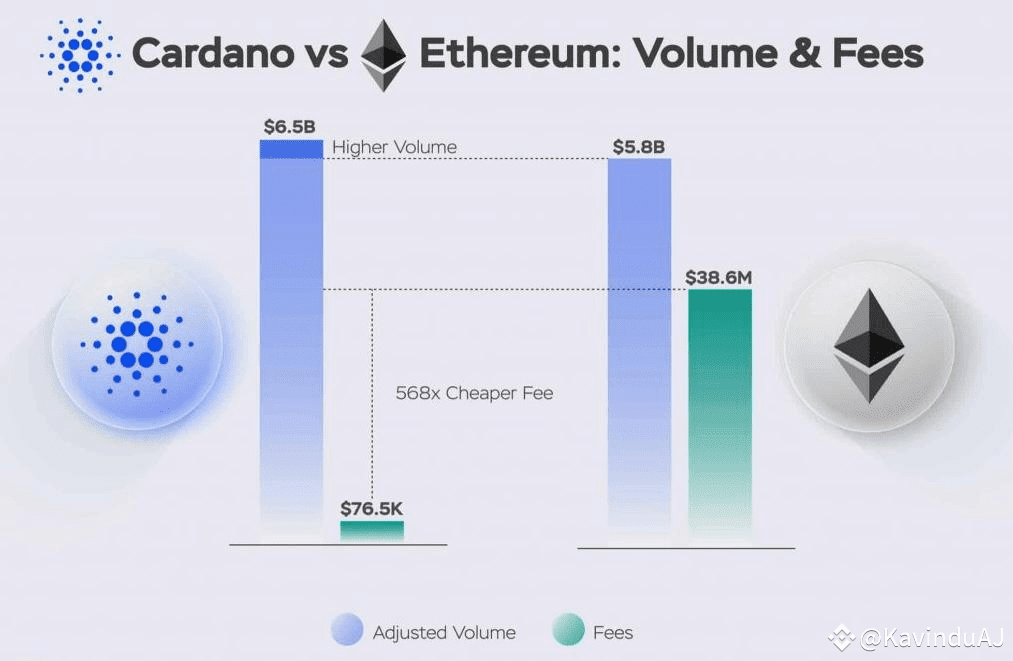 Cardano finalizes transactions in 20-40s, processes 250 TPS ...