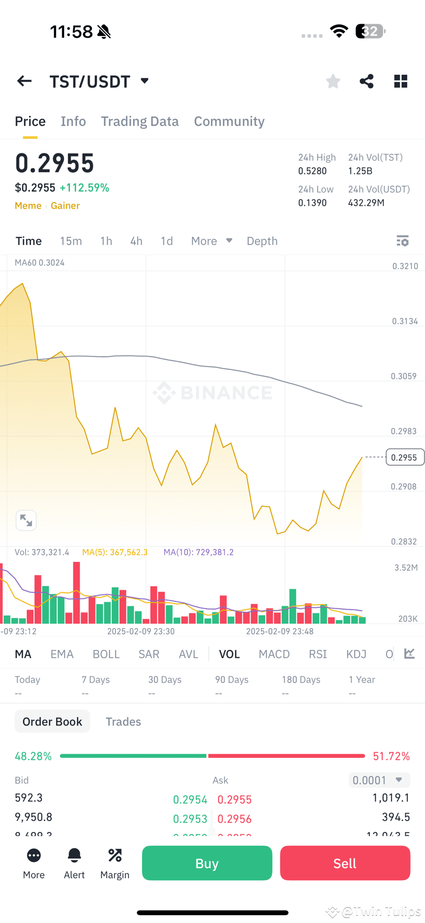 🚀 $TST /USDT 呈拋物線上漲！🚀 🔥 價格：0.2955 美元 (+112.59%) 📈 24 小時 | 幣安廣場上的 Twin Tulips X Web3 Protocol