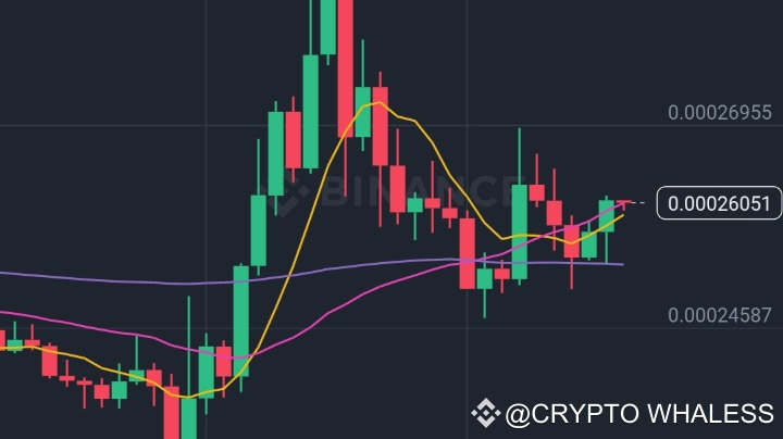 🚨$FLOKI /USDT – BULLISH BREAKOUT IN MOTION! 🚨 | CRYPTO WHALESS on Binance Square