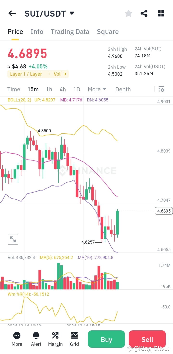 Trending: $SUI Liquidation Alert Liquidated Short: $201K | King-Oliver ...
